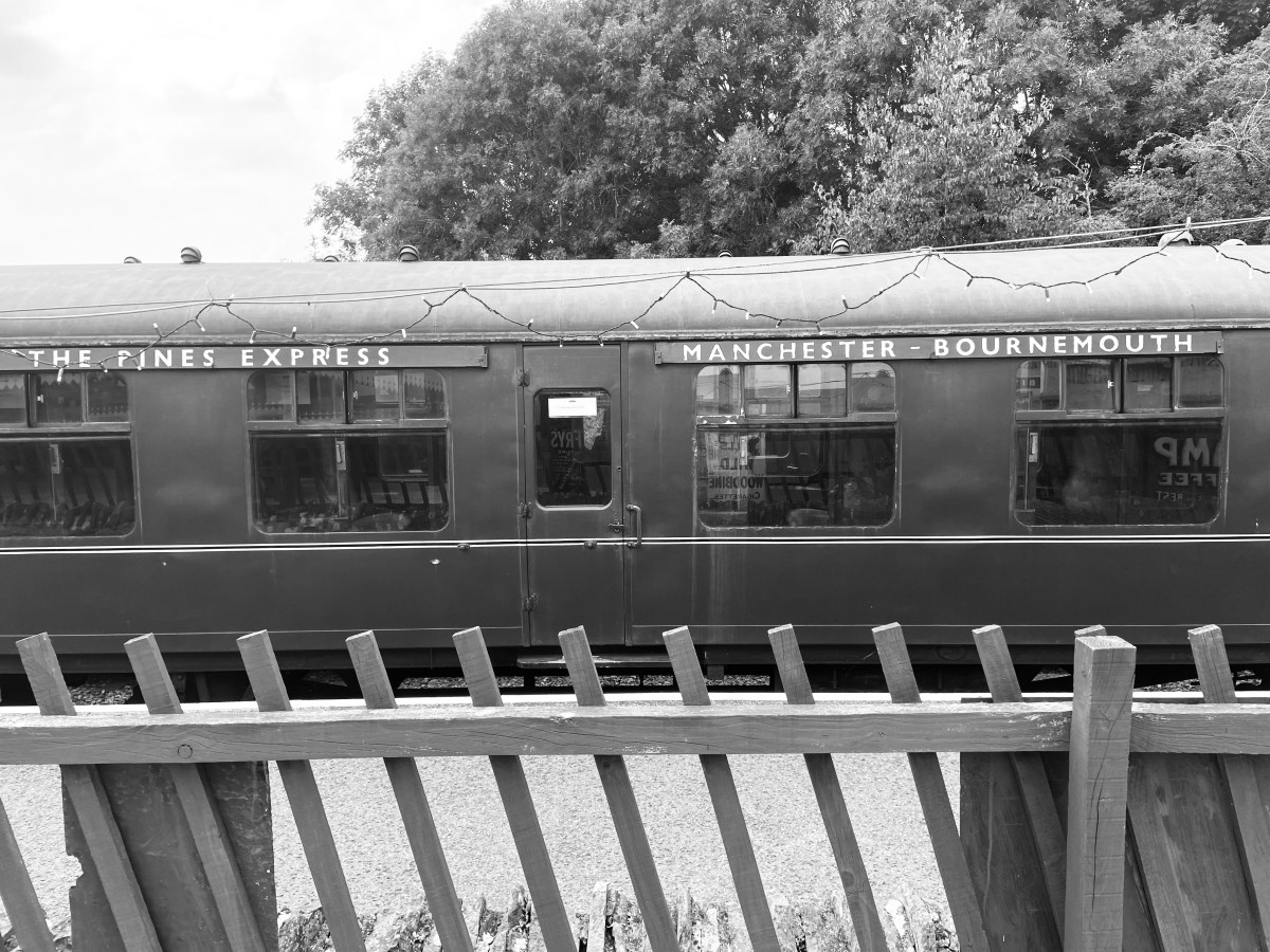 “The Pines Express” – Trains To Beyond