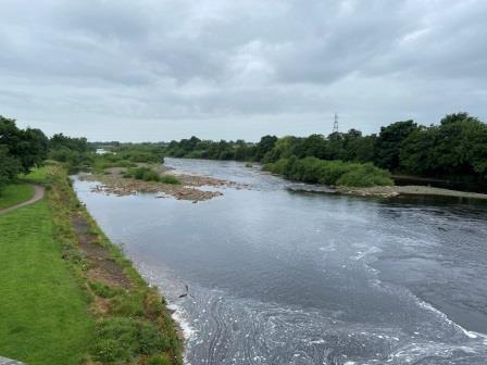 Walking Waverley #2 – Trains To Beyond